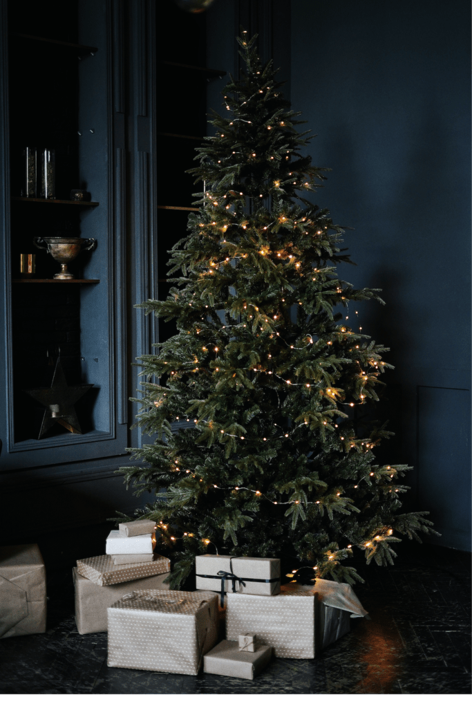 Christmas Tree - Designing your Christmas TreeScarano Architect